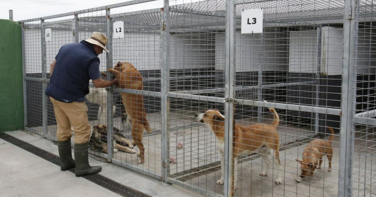 Cierren todas las perreras