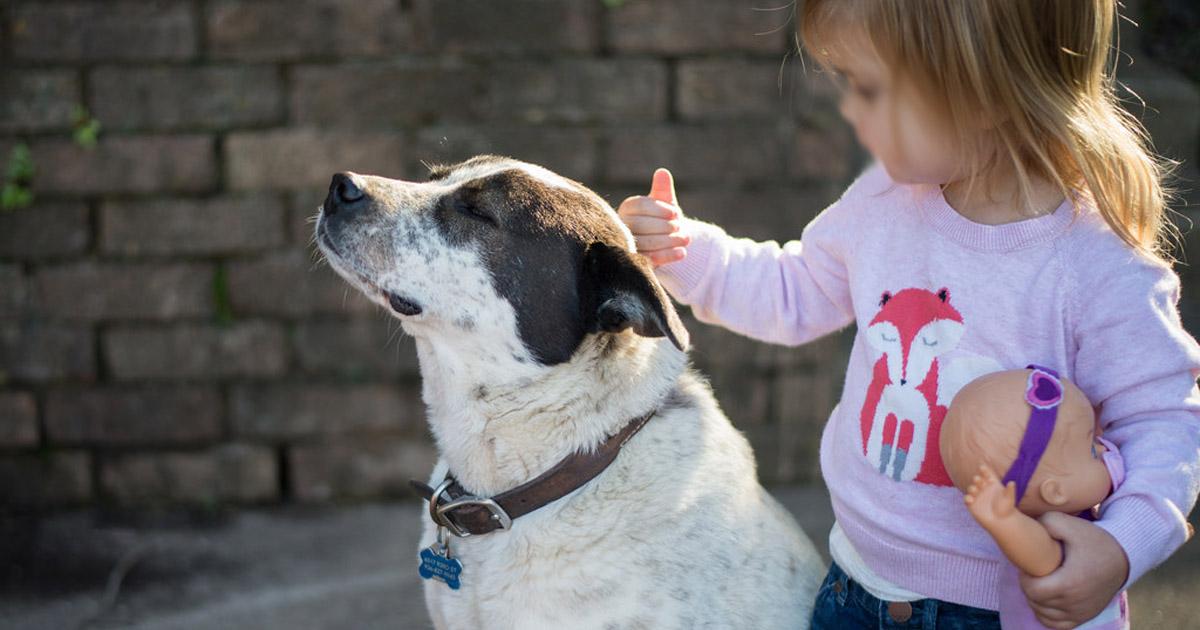 Raise awareness and encourage children and society to respect, defend ...