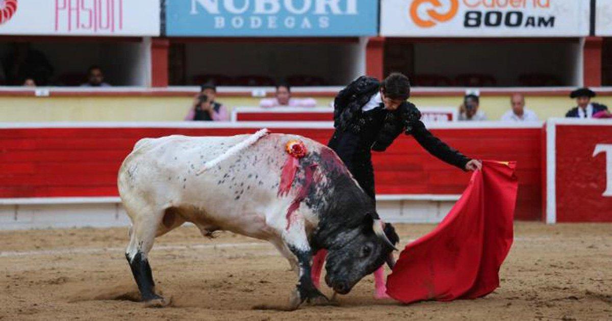 Tijuana Mexico Attractions Bullfighting